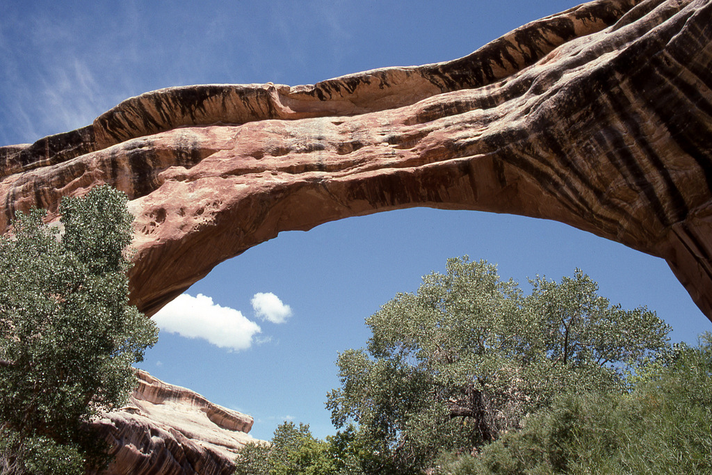 Natural Bridge Arches National Park at Pauline Smith blog